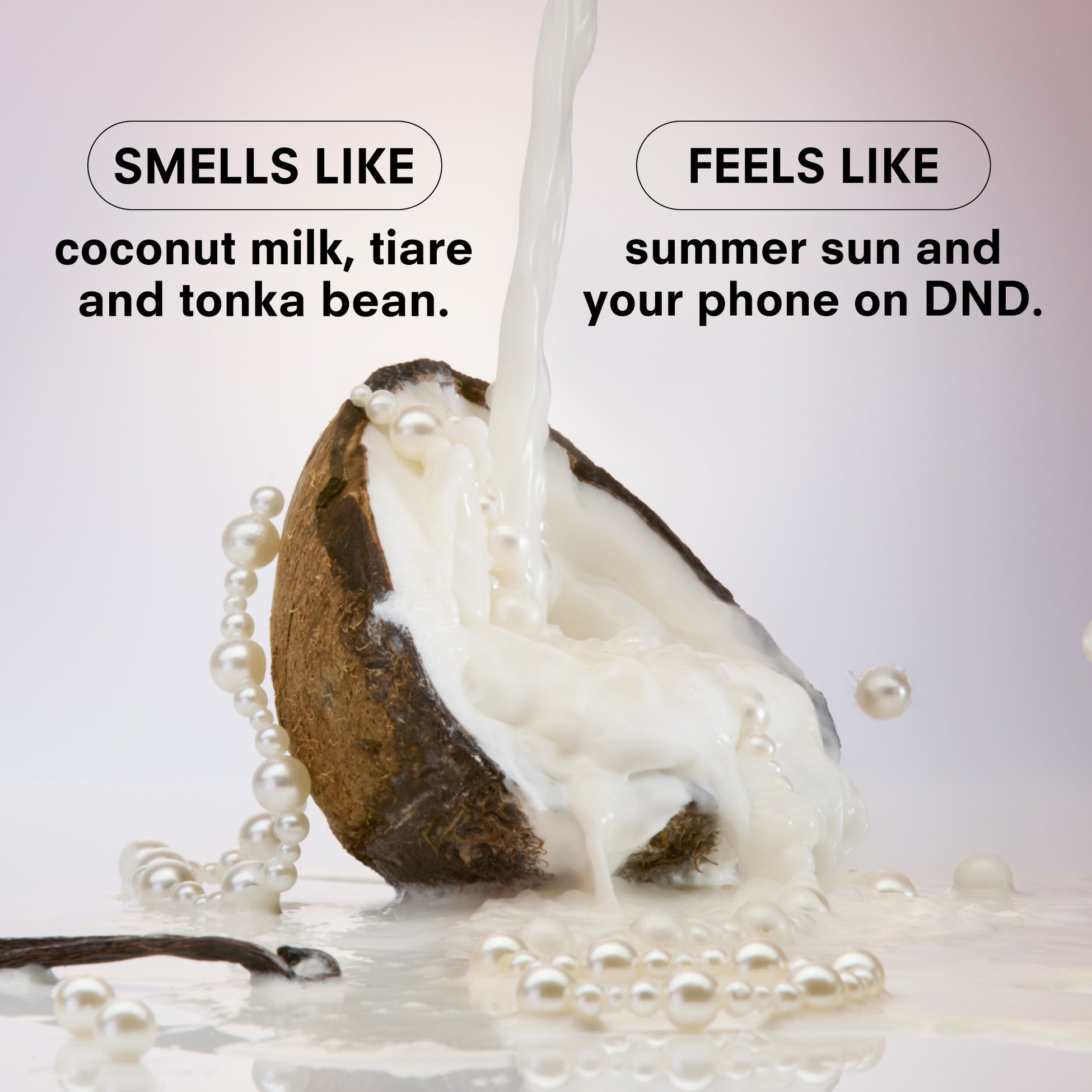 Coco Cream: Eau de Parfum & Fine Fragrance Take It Or Leave It | Boy Smells