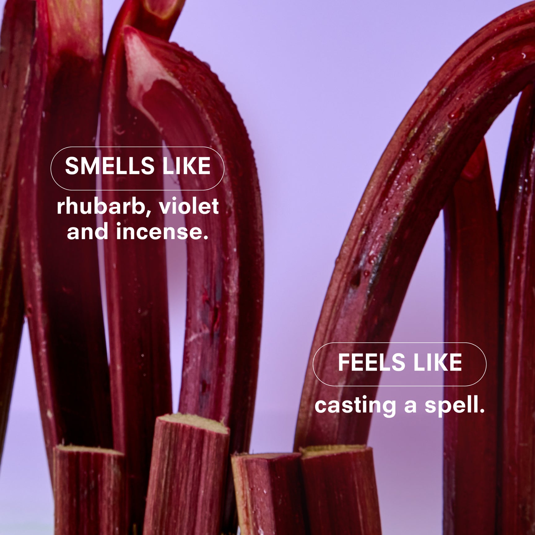 Violet Ends: Eau de Parfum & Fine Fragrance Travel Spray | Boy Smells