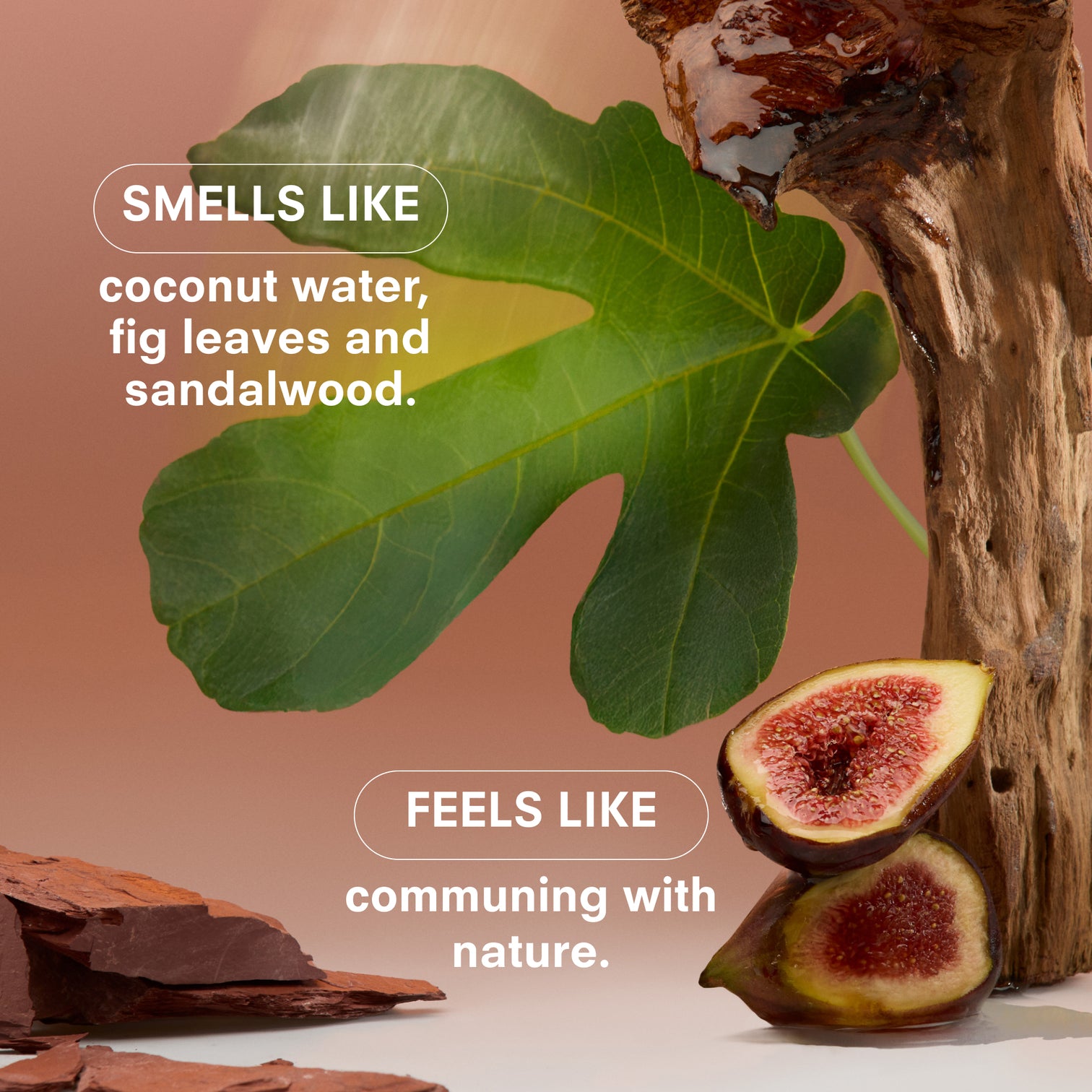 Woodphoria: Soy Blend Scented Candles | Boy Smells